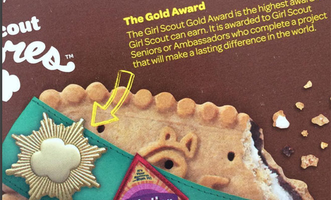 Houston Teen Earns The Exclusive Girl Scout Gold Award